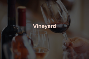 Experience - LegalTechTalk